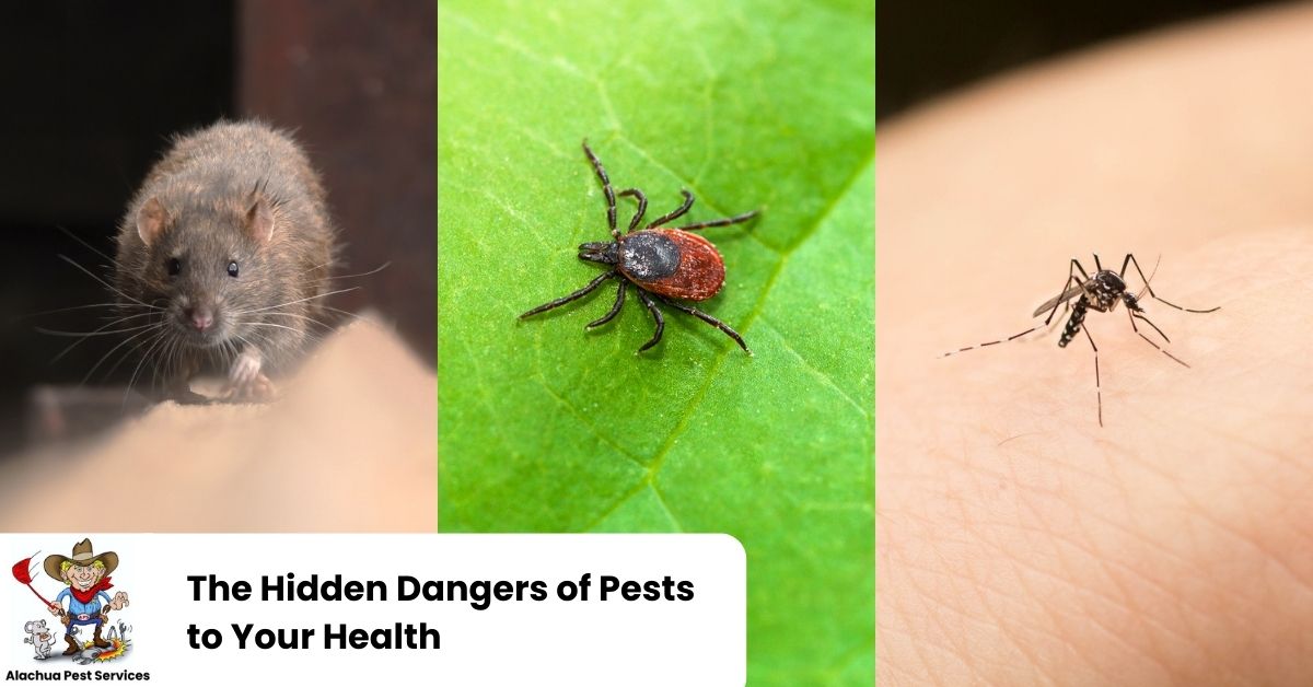 The Hidden Dangers of Pests to Your Health
